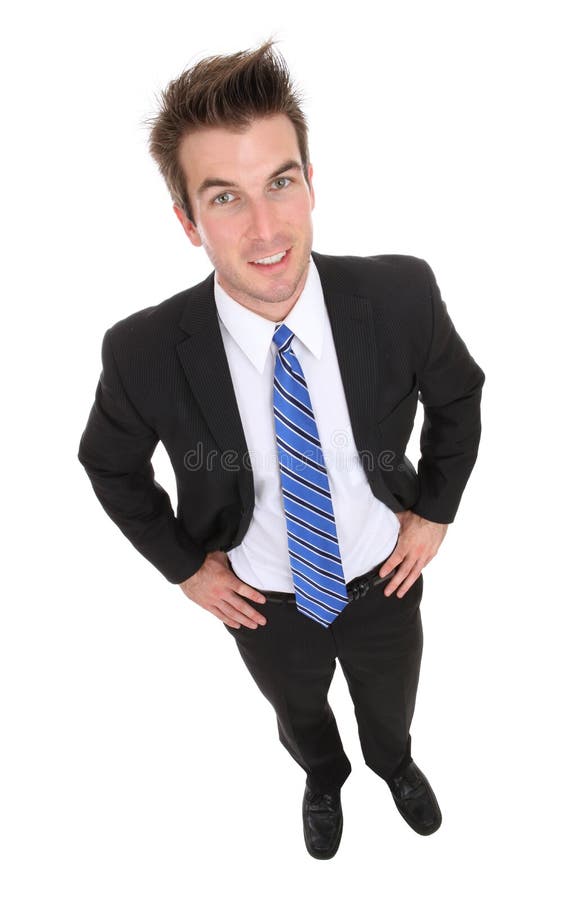 Handsome Business Man Isolated Stock Image - Image of boss, handsome ...