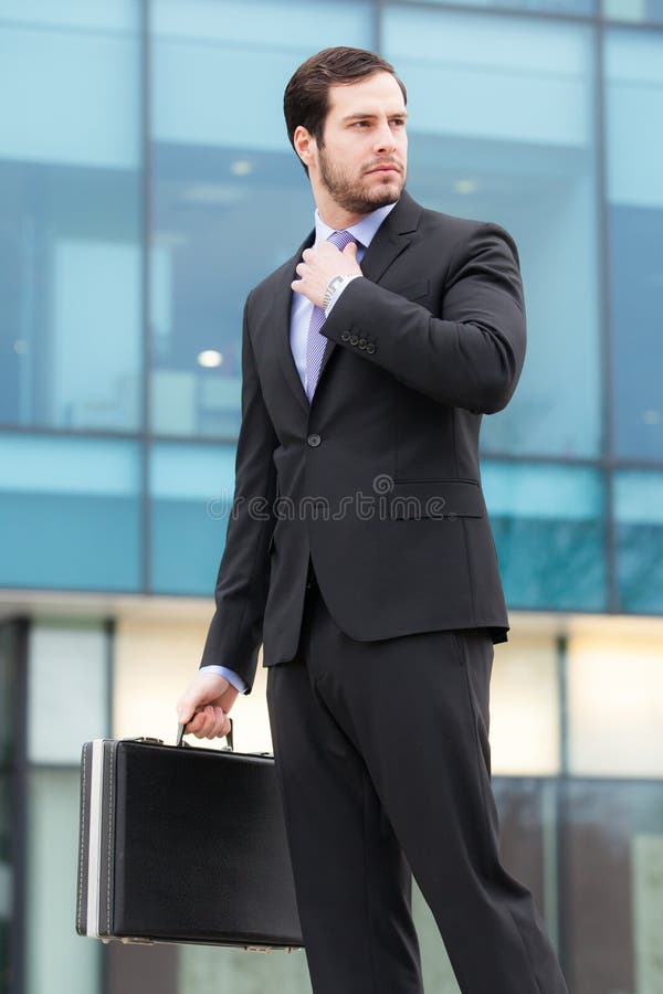 Handsome Businessman with a Briefcase Stock Image - Image of confident ...