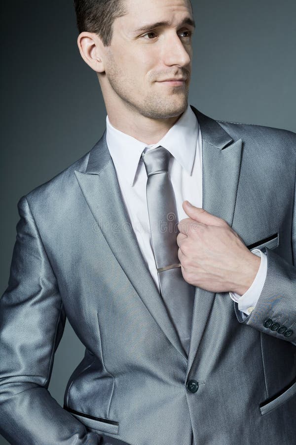 Handsome Businessman in Silver Suit. Stock Photo - Image of adult ...
