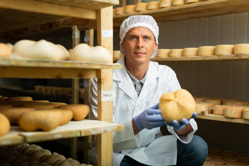 Handsome Cheese Maker Checking Aging Process of Goat Cheese Standing at ...