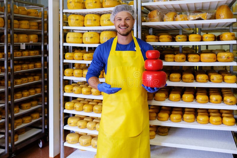 Handsome Cheesemaker is Checking Cheeses in His Workshop Storage. Stock ...