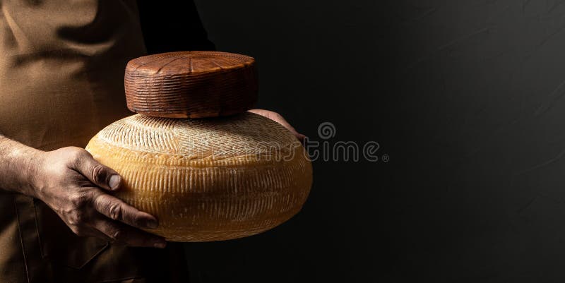 Handsome Cheesemaker is Checking Cheeses in His Workshop Storage, Long ...