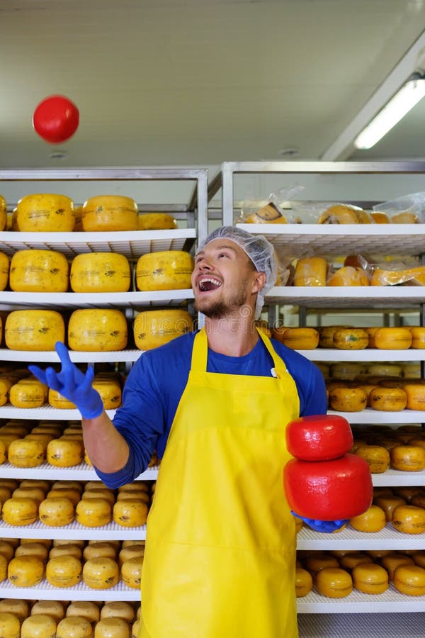 Handsome Cheesemaker is Checking Cheeses in His Workshop Storage. Stock ...