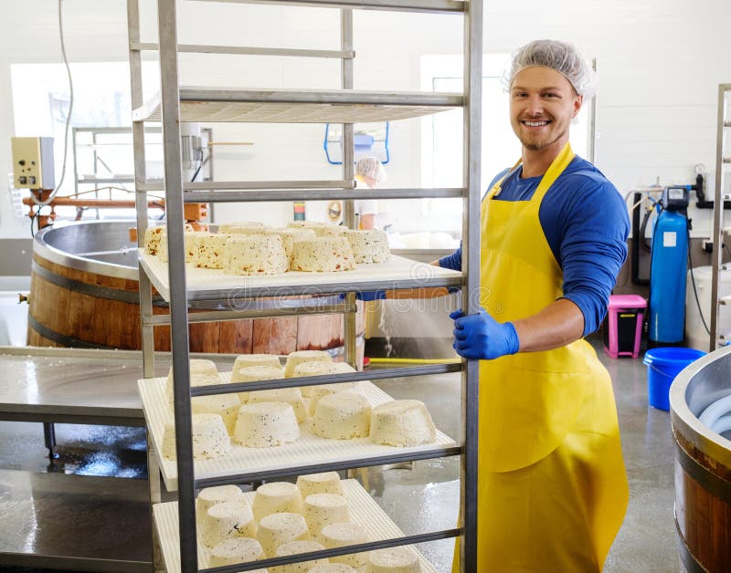 Handsome Cheesemaker Making Curd Cheese in His Factory Stock Photo ...