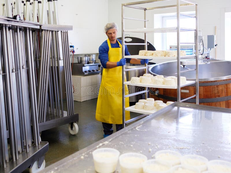 Handsome Cheesemaker Making Curd Cheese in His Factory. Stock Photo ...