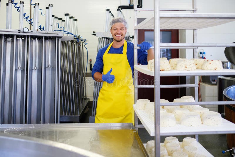 Handsome Cheesemaker Making Curd Cheese in His Factory. Stock Image ...