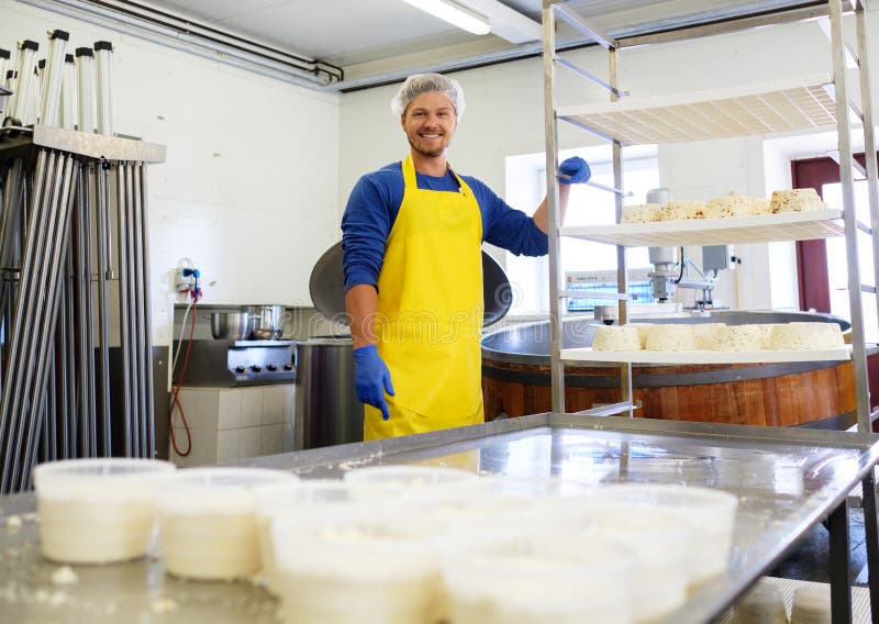 Handsome Cheesemaker Making Curd Cheese in His Factory. Stock Image ...