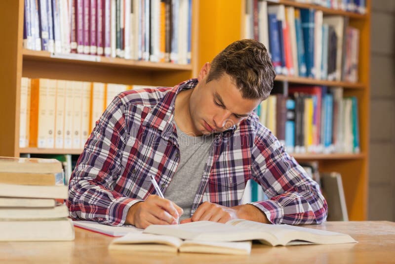 Handsome Concentrated Student Studying His Books Stock Image - Image of ...