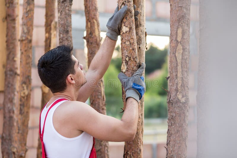 Handsome Construction Worker Stock Photo - Image of manual ...