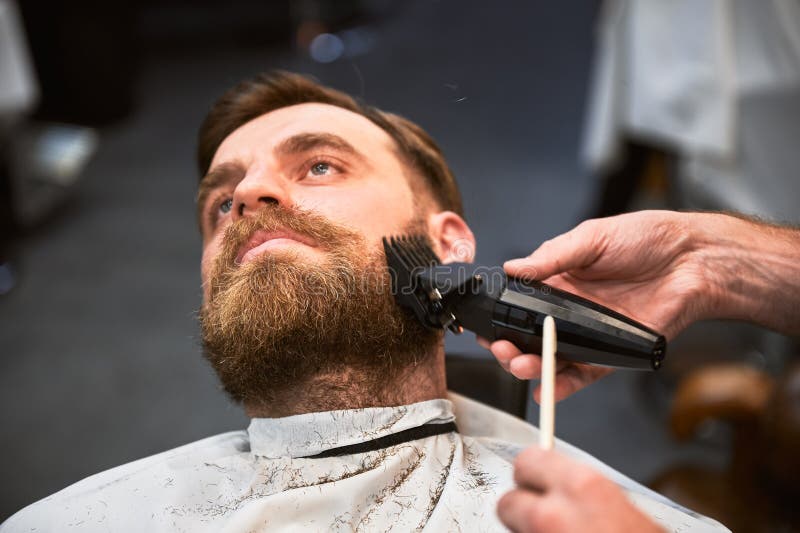 Handsome Customer Getting His Beard Shaved. Stock Image - Image of hair ...