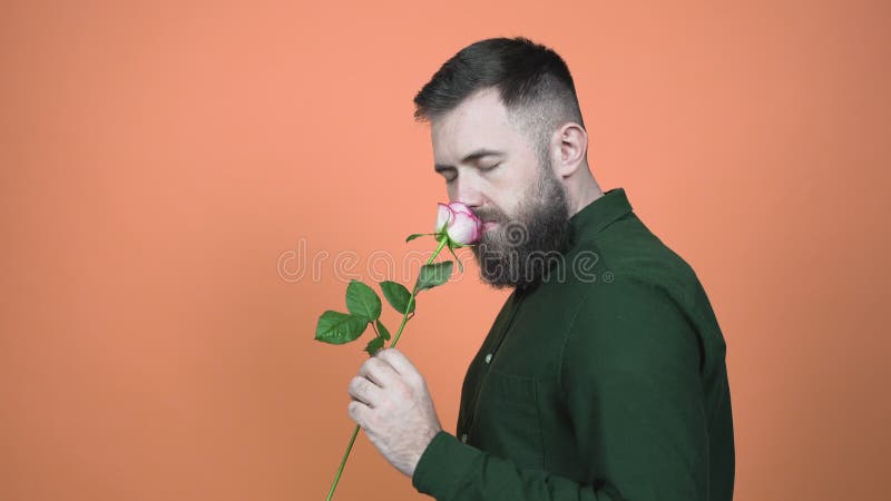 Handsome Guy Sniffing a Rose Stock Video - Video of valentines ...