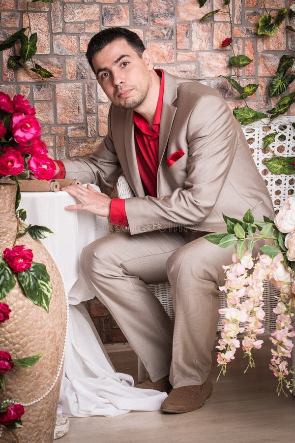 Handsome Imposing Man in a Room Stock Image - Image of respectable ...