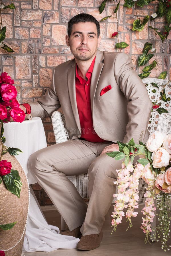 Handsome Imposing Man in a Room Stock Image - Image of elegant, fashion ...