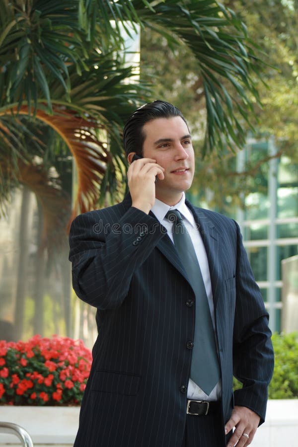 Handsome Latin Business Man Talking Stock Image - Image of formal, good ...