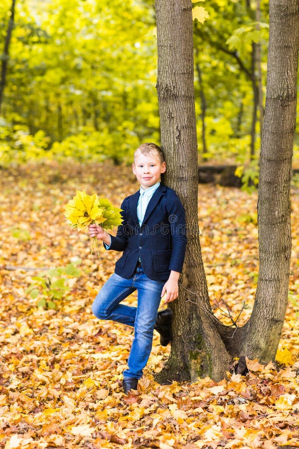 Handsome Little Boy in Sunny Autumn Park with Maple Leaves Stock Photo ...