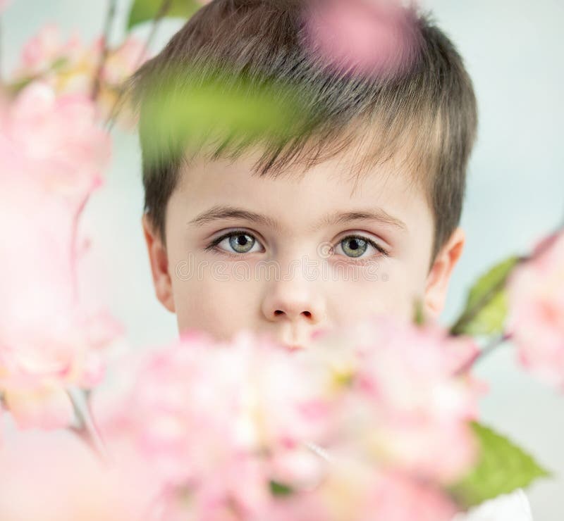 Handsome Little Man with a Flower Stock Image - Image of long, happy ...