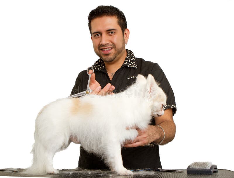 Handsome Male Groomer Working Stock Photo - Image of hair, cutting ...