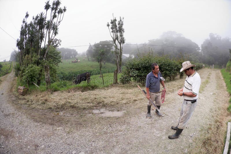 Handsome Male Ranch Hands in Costa Rica Stock Photo - Image of animal ...