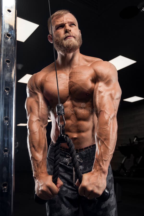 Handsome Man with Big Muscles, Posing at the Camera in the Gym Stock ...