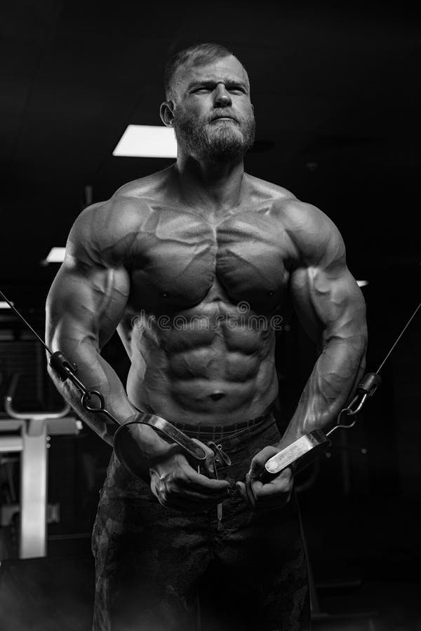 Handsome Man with Big Muscles, Posing at the Camera in the Gym Stock ...