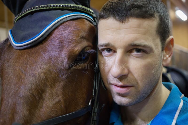 Handsome Man and Brown Horse in Harness are in Stock Image - Image of ...