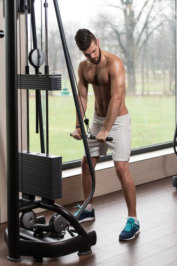 Handsome Man Doing Triceps Exercises in the Gym Stock Photo - Image of ...