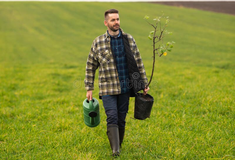 The Handsome Man is Going To Plant a Tree in the Field. Stock Photo ...