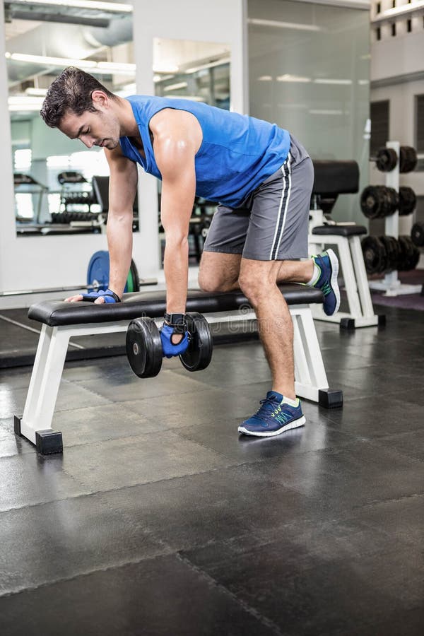 Handsome Man Lifting Dumbbells on Bench Stock Photo - Image of handsome ...