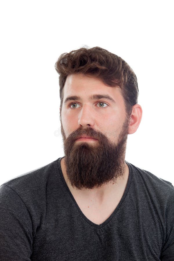 Handsome Man with Long Beard Stock Photo - Image of expression, hair ...