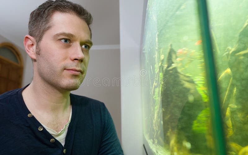 Handsome Man Looks at the Fish Stock Image - Image of male, looking ...