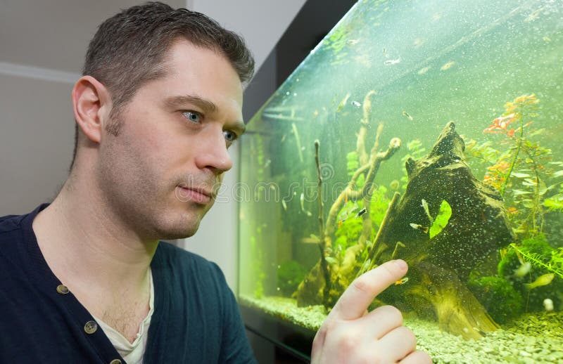 Handsome Man Looks at the Fish Stock Image - Image of nature, looking ...
