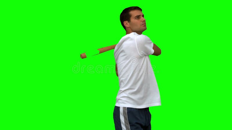 Bat Green Screen Stock Footage & Videos - 344 Stock Videos