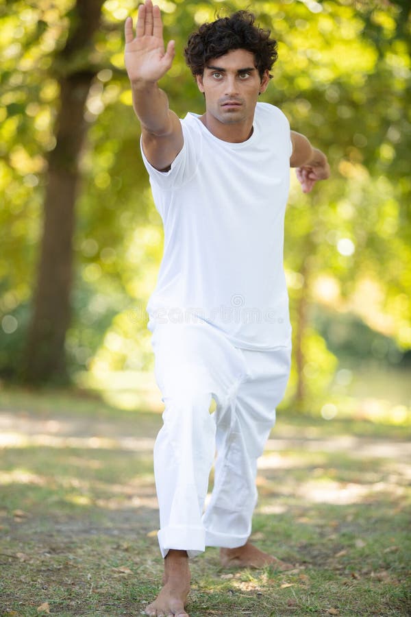 Handsome Man Practicing Thai-chi in Park Stock Photo - Image of mental, thai: 283152244