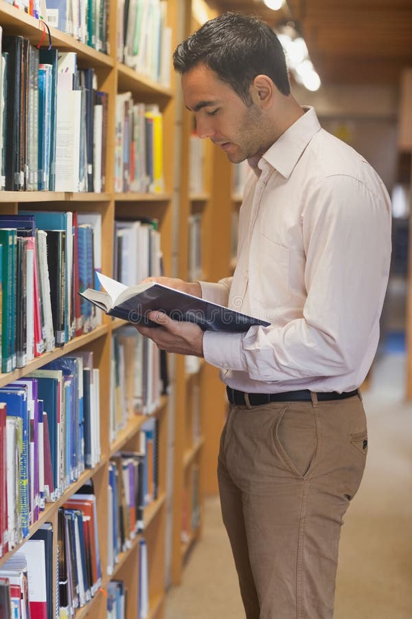 Handsome Man Reading Concentrated a Book Standing in Library Stock ...