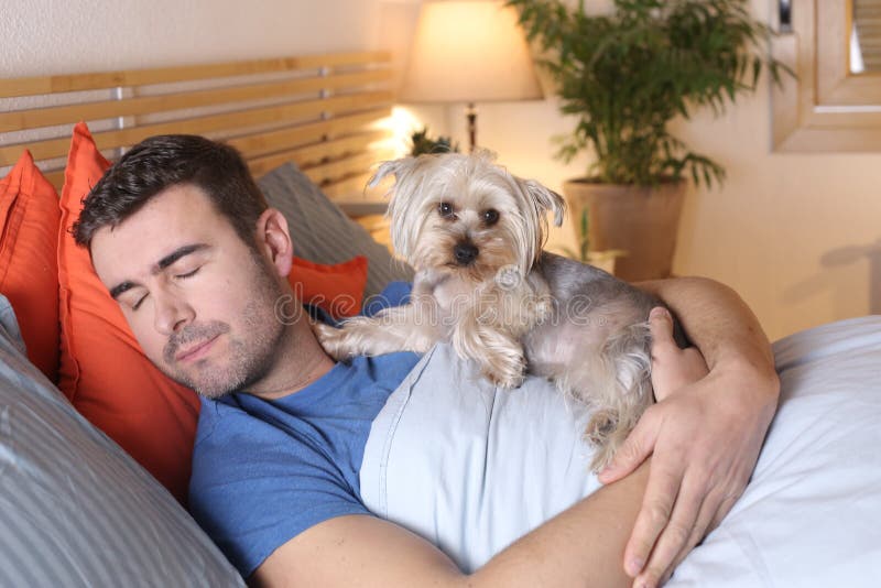 Handsome Man Sleeping with this Dog Stock Photo - Image of adult ...