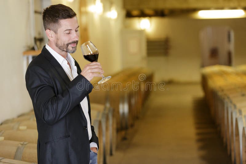 Handsome Man Sommelier Tasting Red Wine in Cellar Stock Photo - Image ...