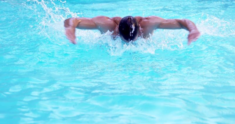 Handsome Man Swimming Butterfly Stroke Stock Footage - Video of ...