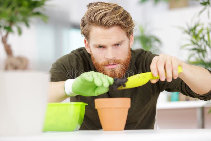 Handsome Man Taking Care Plant Stock Photo - Image of happy, adult ...