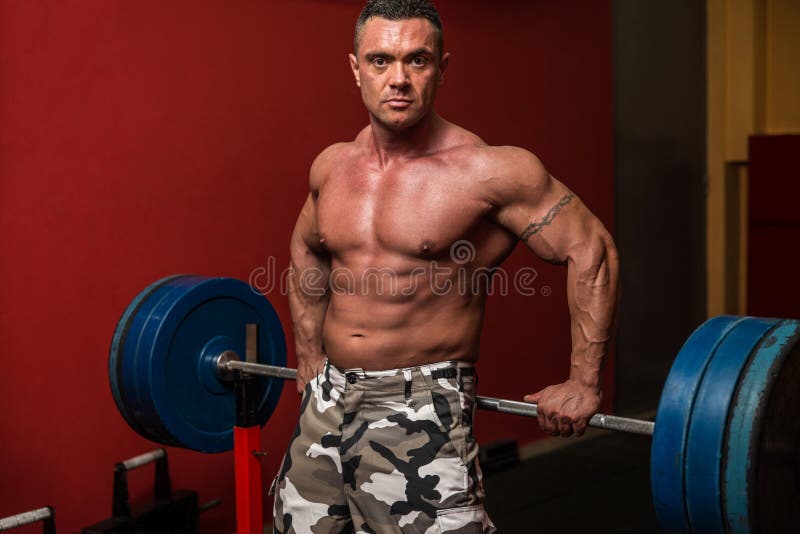 Handsome Muscular Men stock image. Image of exercises - 33969429