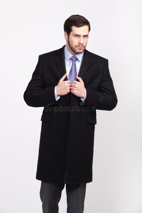 Handsome Office Business Man with Beard Dressed in Elegant Suit, Stock ...