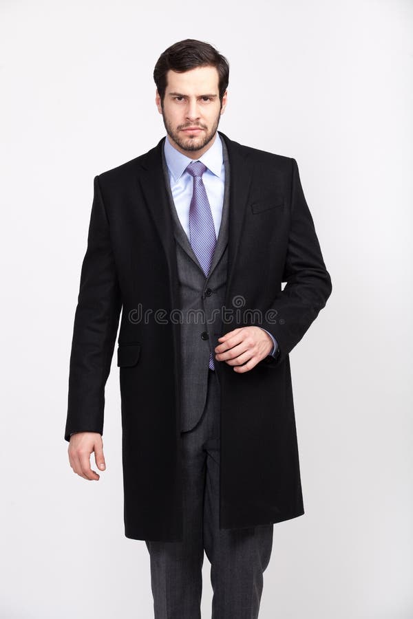 Handsome Office Business Man with Beard Dressed in Elegant Suit, Stock ...