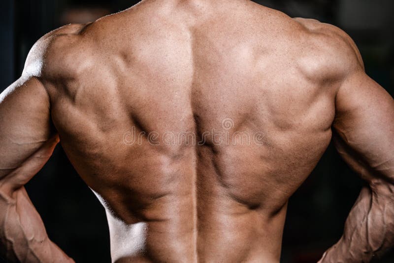 Handsome Power Athletic Man Diet Training Pumping Up Back Muscle Stock ...