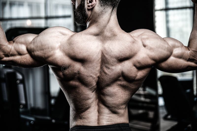 Handsome Power Athletic Man Diet Training Pumping Up Back Muscle Stock ...