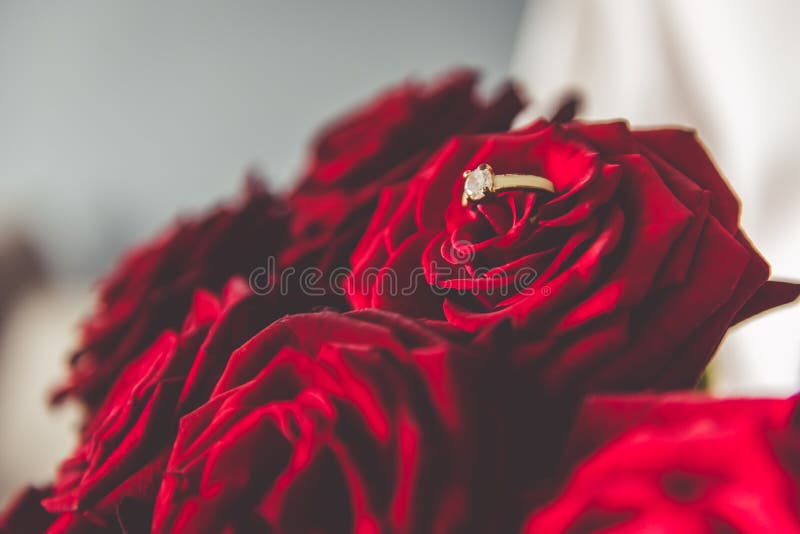 Handsome romantic guy stock image. Image of flower, adult - 82015955