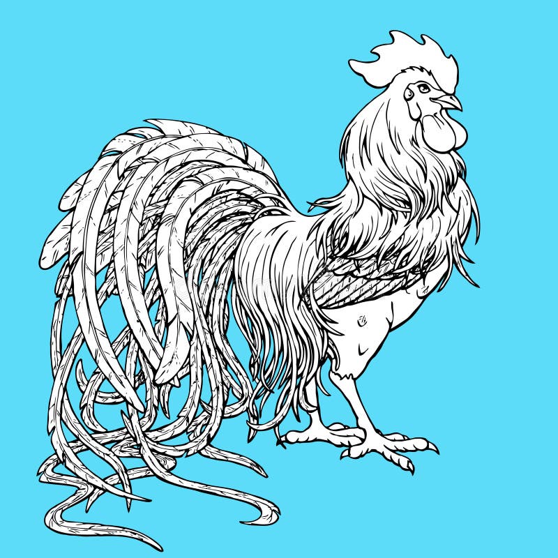 Cocky Rooster Stock Illustrations – 125 Cocky Rooster Stock ...