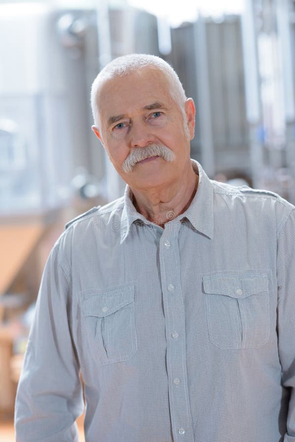 Handsome Senior Man Standing Stock Image - Image of smart, presentation ...