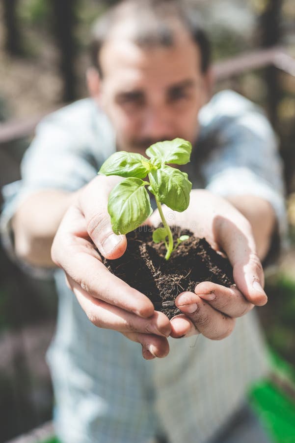 Handsome Stylish Man Gardening Stock Image - Image of plant, green ...