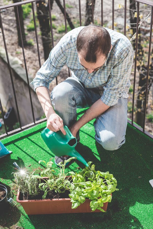 Handsome Stylish Man Gardening and Watering Stock Image - Image of ...