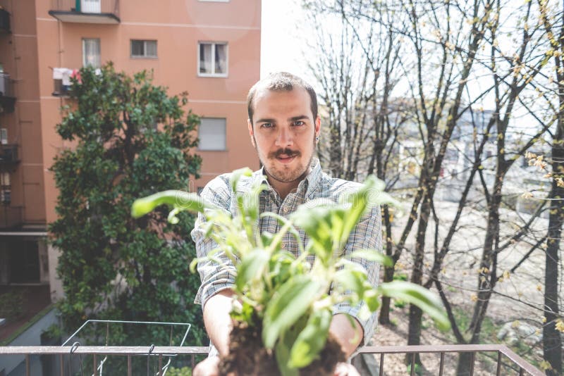 Handsome Stylish Man Holding Basil Plant Stock Image - Image of green ...