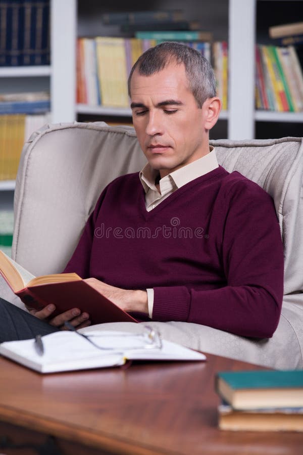 Handsome Successful Lawyer Portrait Stock Photo - Image of indoor ...